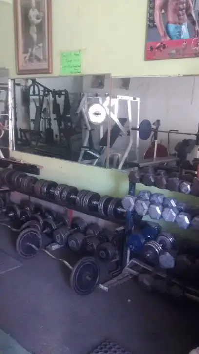 Panther Gym - Infogym