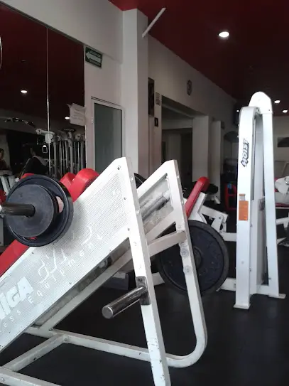 Rush Fitness Center Mexico - Infogym