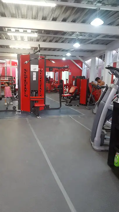 Muscle POWER GYM - Infogym