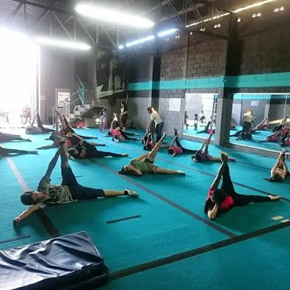 Thunder Zone Gym - Infogym