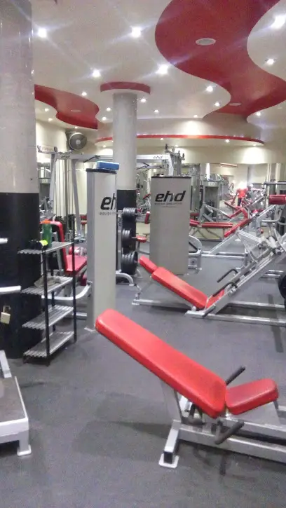 Gym Body Building - Infogym