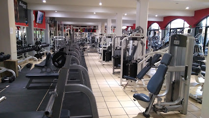 Element Sport Gym Plaza San José - Infogym