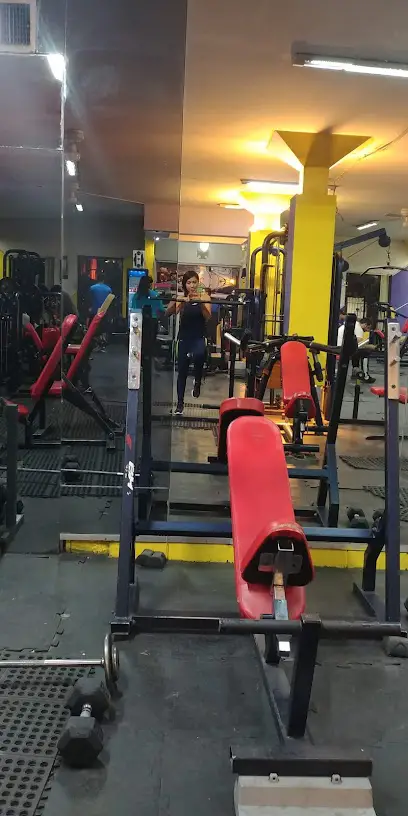 Hi Power Gym - Infogym