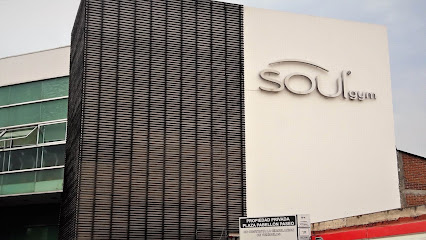 Soul Gym - Infogym