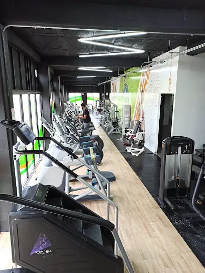 Life Gym Adamar - Infogym