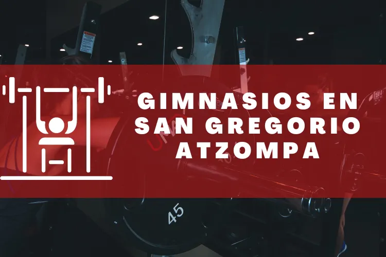 【Gimnasios en San Gregorio Atzompa