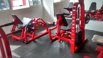 Muscle & fitness zone - Infogym